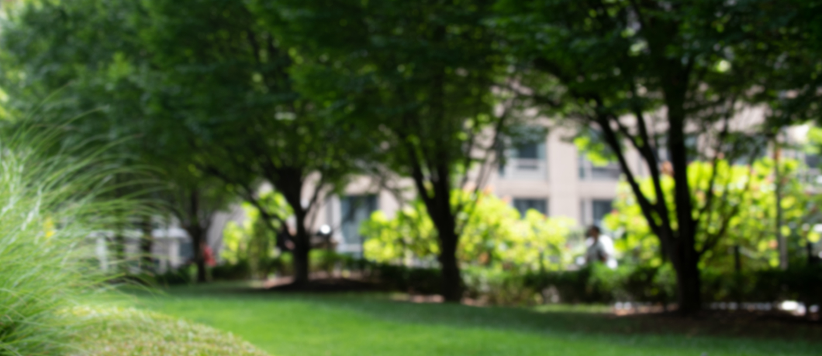 Delisa Maria Martinez Lizardo - Obermayer Rebmann Maxwell & Hippel LLP