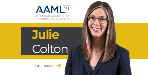 Julie Colton Appointed Co-chair of the Domestic Violence Taskforce of ...